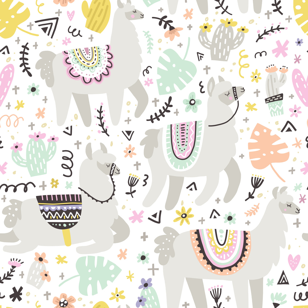DIY Birthday Cracker Kit - Lamas – The Little Cracker Company
